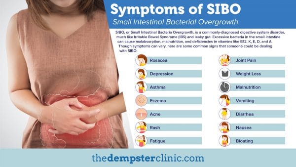 Is SIBO the Cause of your Gut Issues? Top Ways to Tell – The Dempster ...